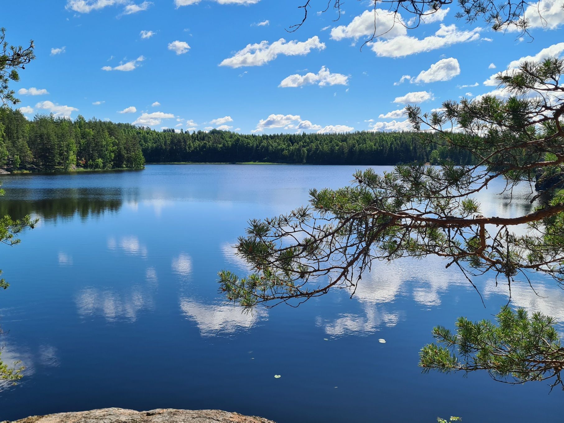 Sanoja itsenäisyyspäivänä – LENKILLÄ